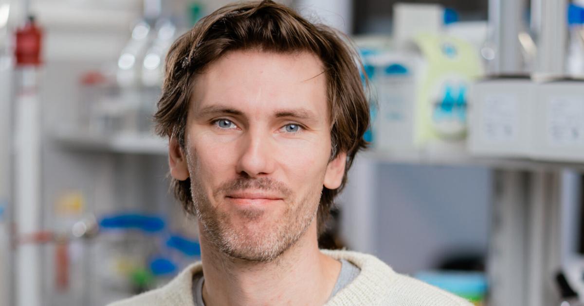 AlphaFold and the Nobel Prize: Accelerating Drug Development at Latvia ...