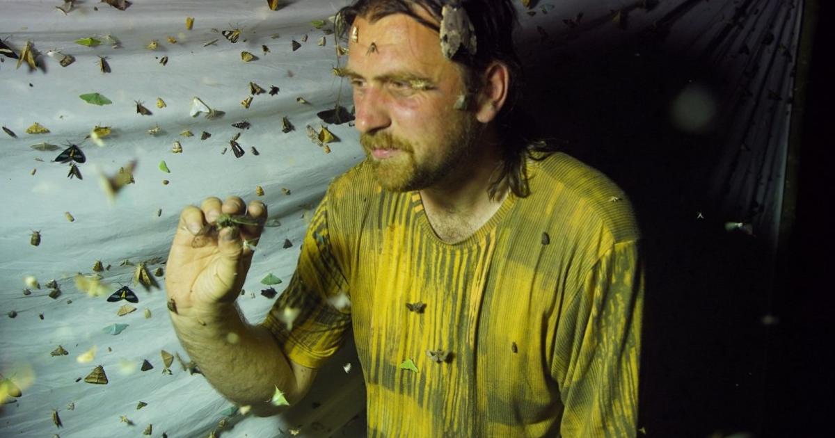 The Experience Story of Entomologist Dmitrijs Teļnovs: Humans Could ...