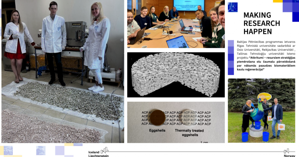 Transforming Eggshell Waste into Next-Generation Biomaterials for Bone ...